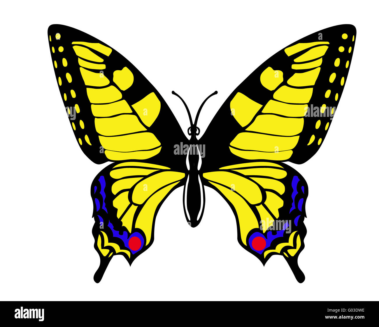 vector drawing butterfly swallowtail on white background Stock Photo ...