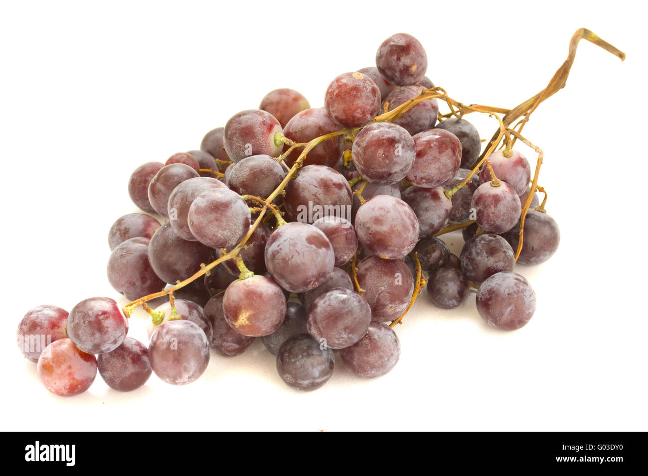 Production of grapes and wine Cut Out Stock Images & Pictures - Alamy