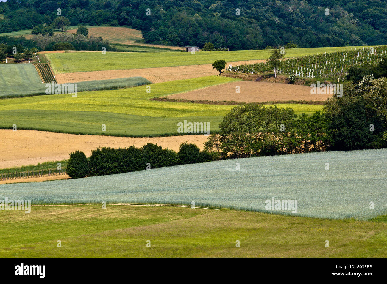 Green fields layer hi-res stock photography and images - Alamy