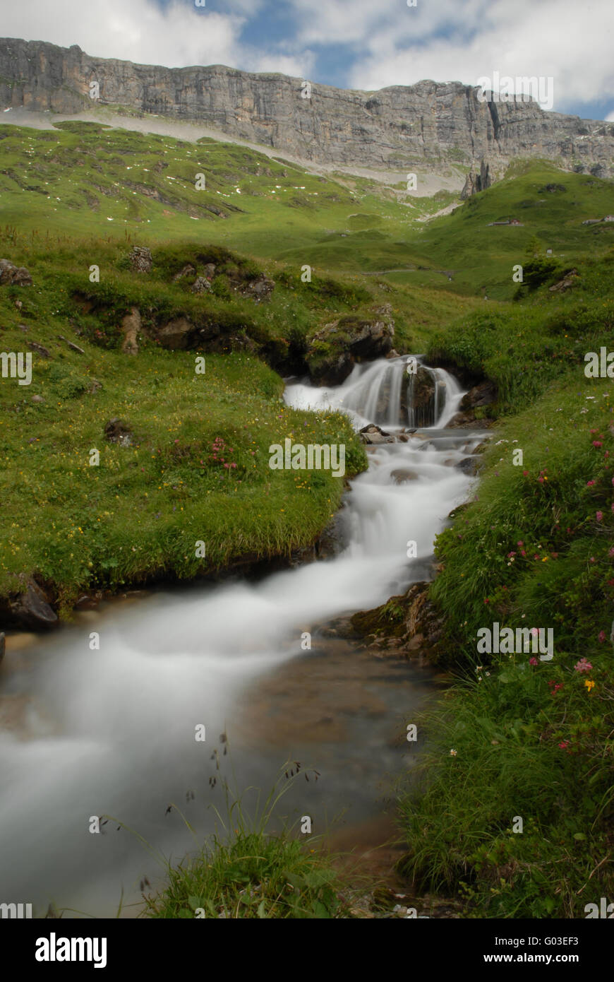 Natural spring of water, longtime exposure Stock Photo - Alamy