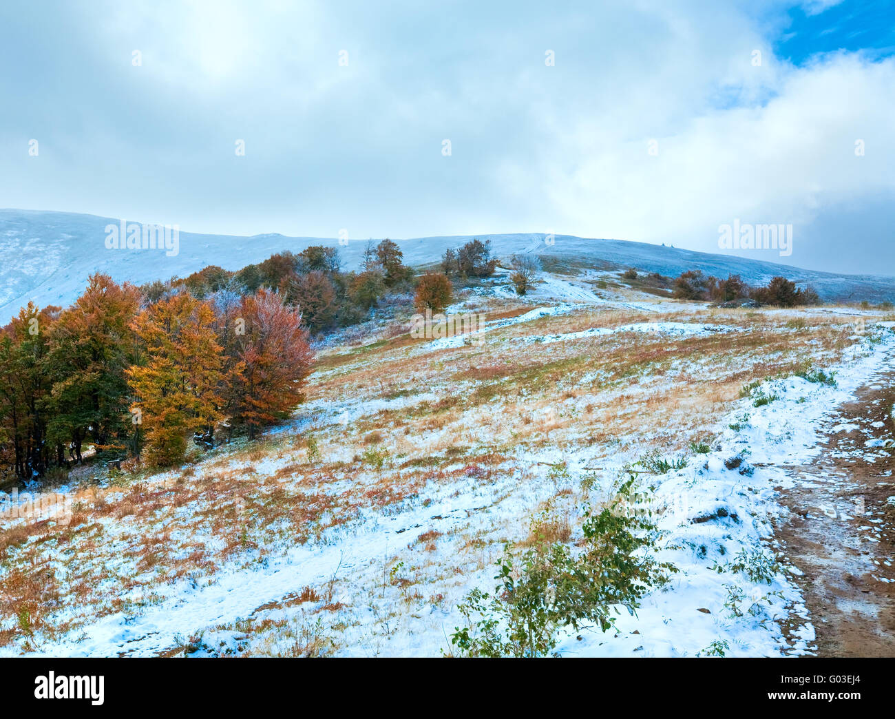 First winter snow and autumn colorful foliage on mountain Stock Photo ...