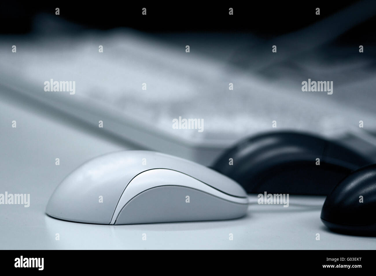 Best mouse hi-res stock photography and images - Alamy