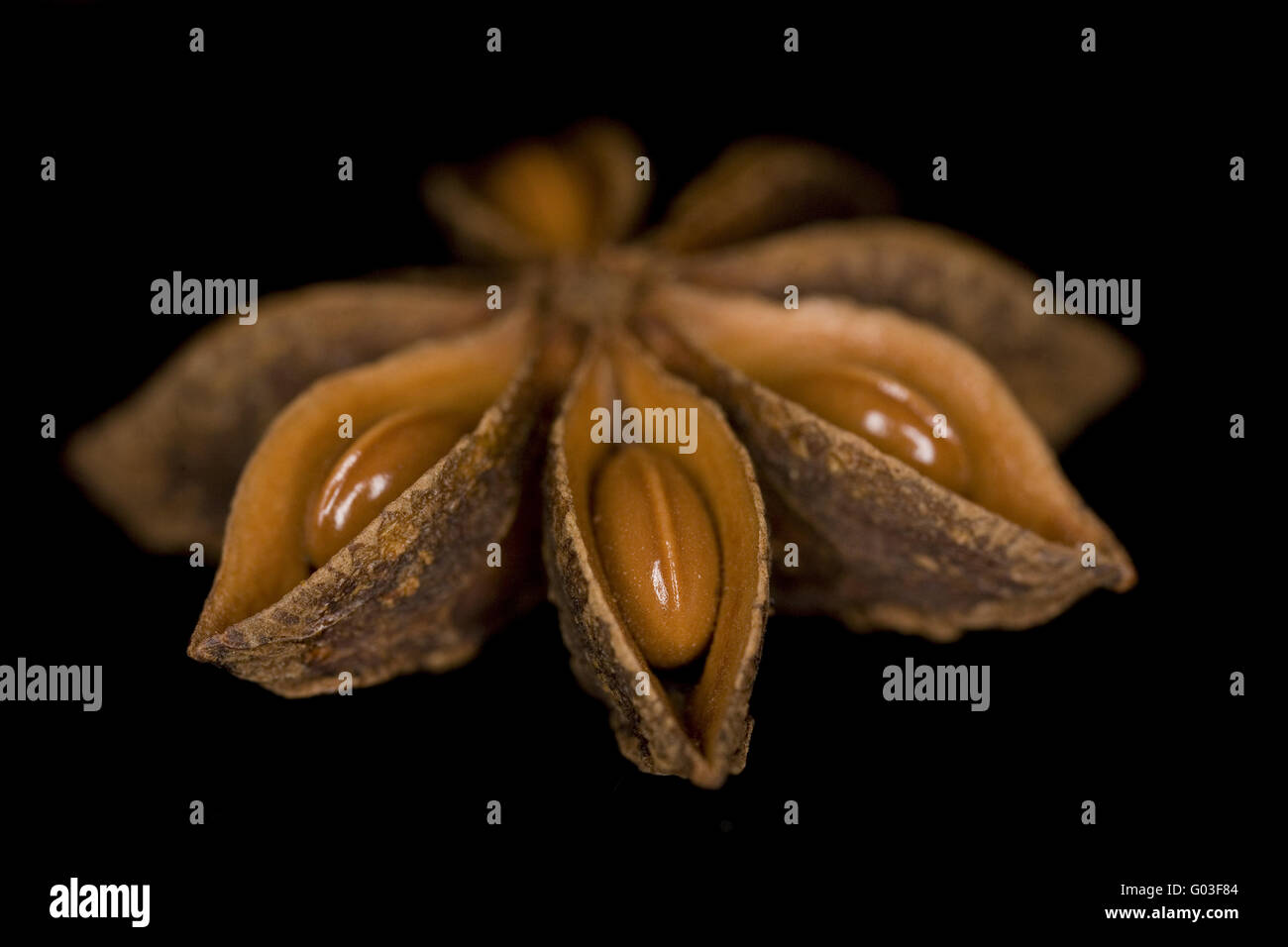 Anais seeds hi-res stock photography and images - Alamy
