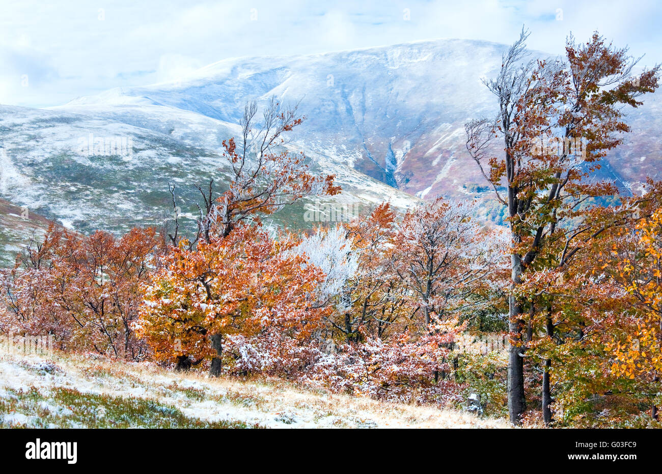 First day of season hi-res stock photography and images - Alamy