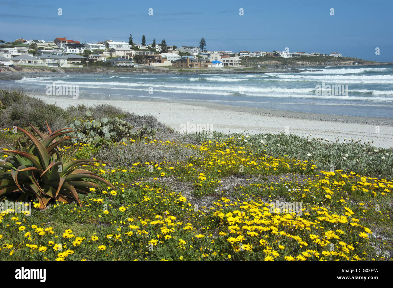 Yzerfontein hi-res stock photography and images - Alamy