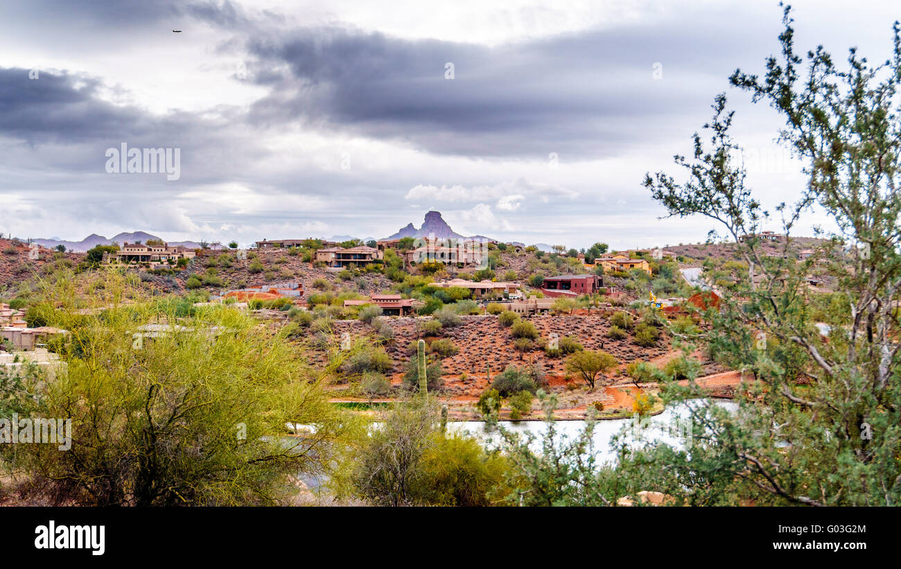Saguaro cactus near phoenix hi-res stock photography and images - Alamy
