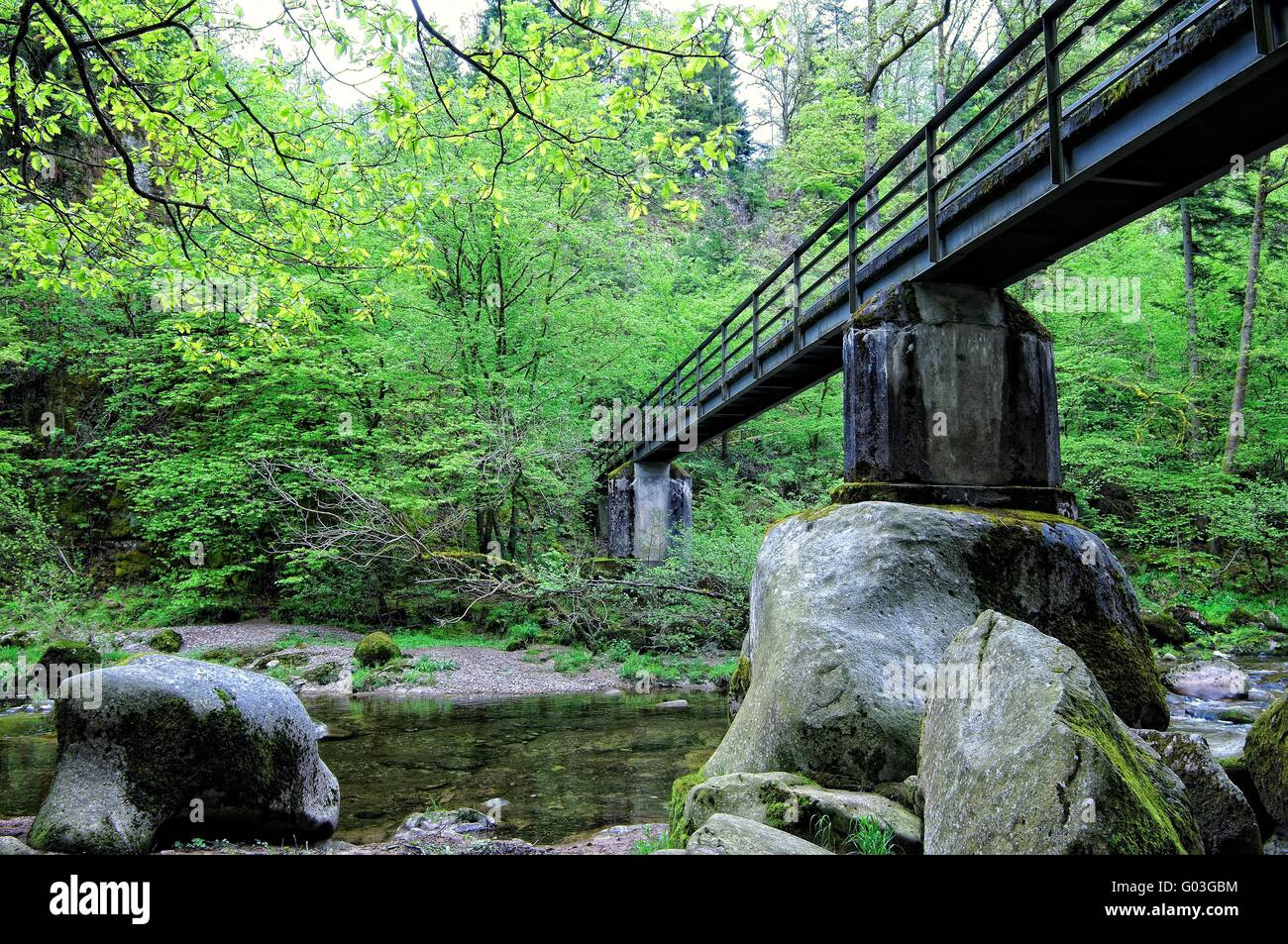 About the Murg in the Black Forest of Germany Stock Photo - Alamy