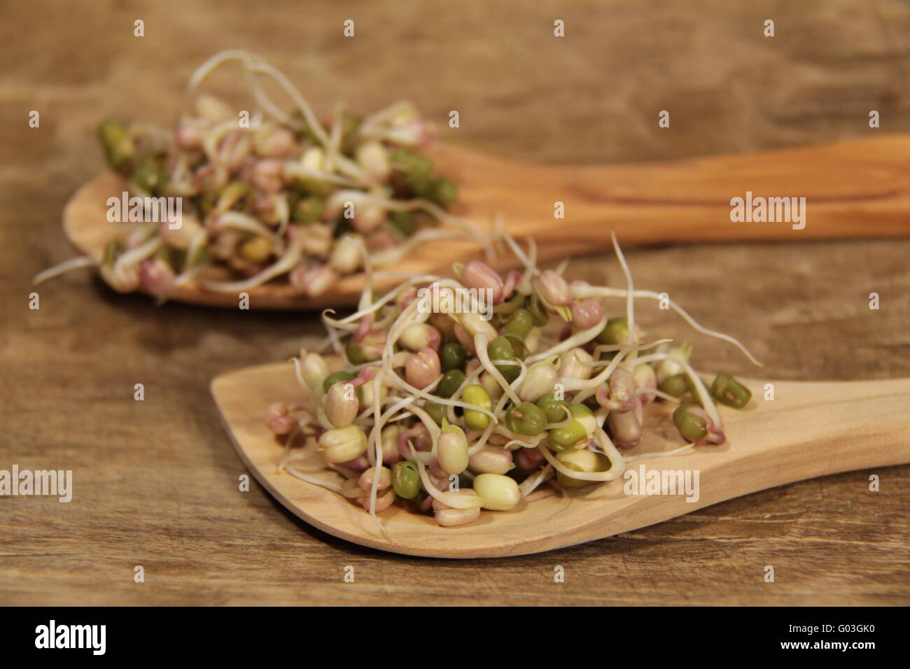 germinating mung beans Stock Photo - Alamy