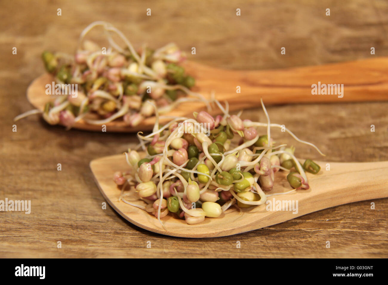 Jerusalem bean hi-res stock photography and images - Alamy