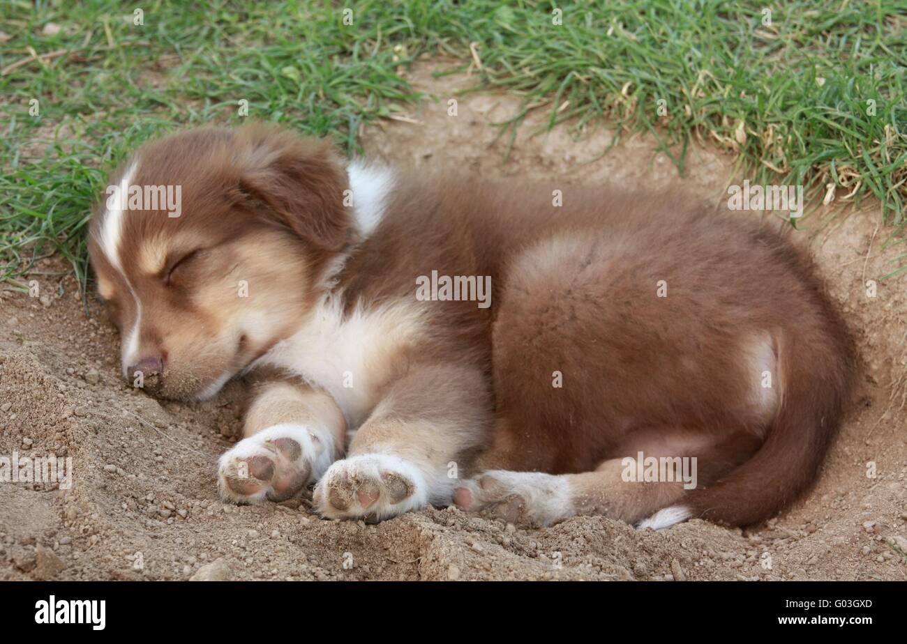 Claudia shepherd hi-res stock photography and images - Alamy
