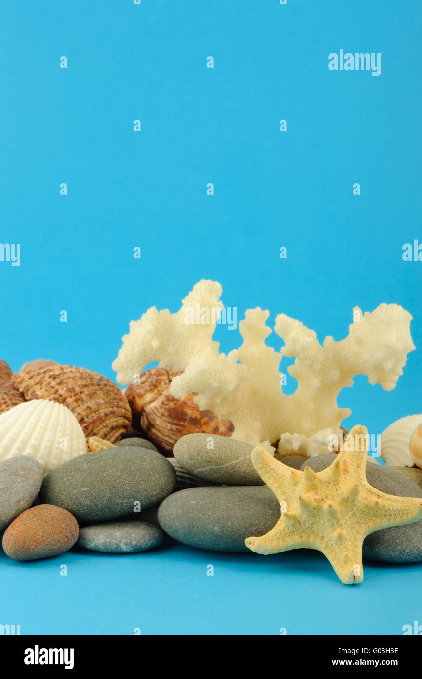 Starfish and set of objects of the sea underwater world Stock Photo - Alamy