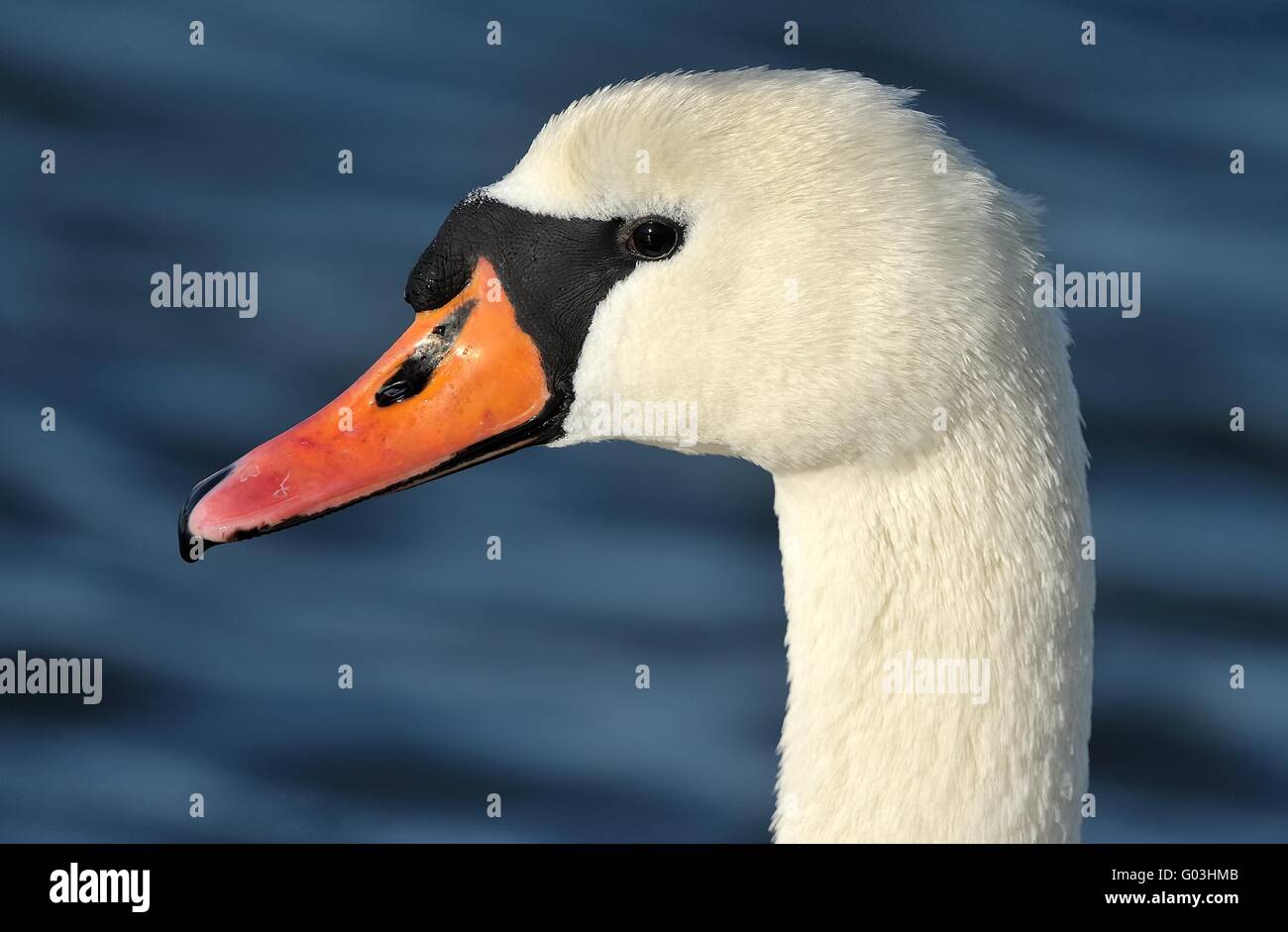 Mute expression hi-res stock photography and images - Alamy