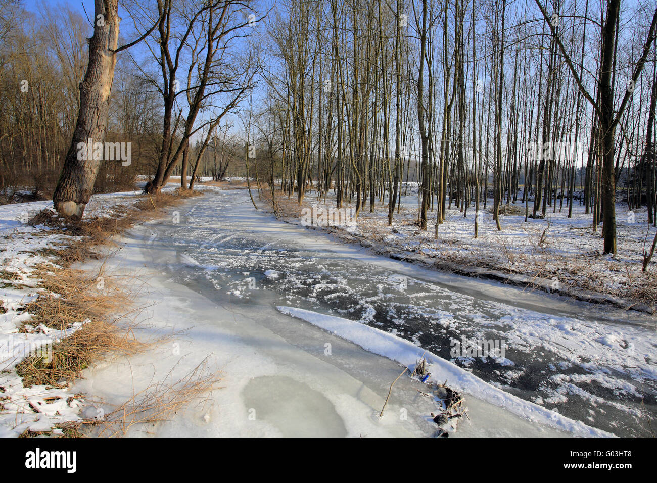 Frozen creek, riparian floodplain forest, Bavaria Stock Photo - Alamy