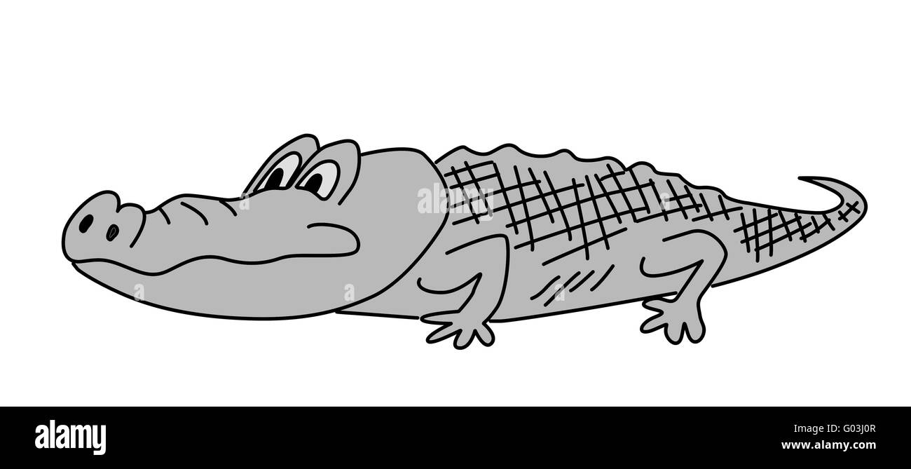 gray crocodile on white background, vector illustration Stock Photo - Alamy