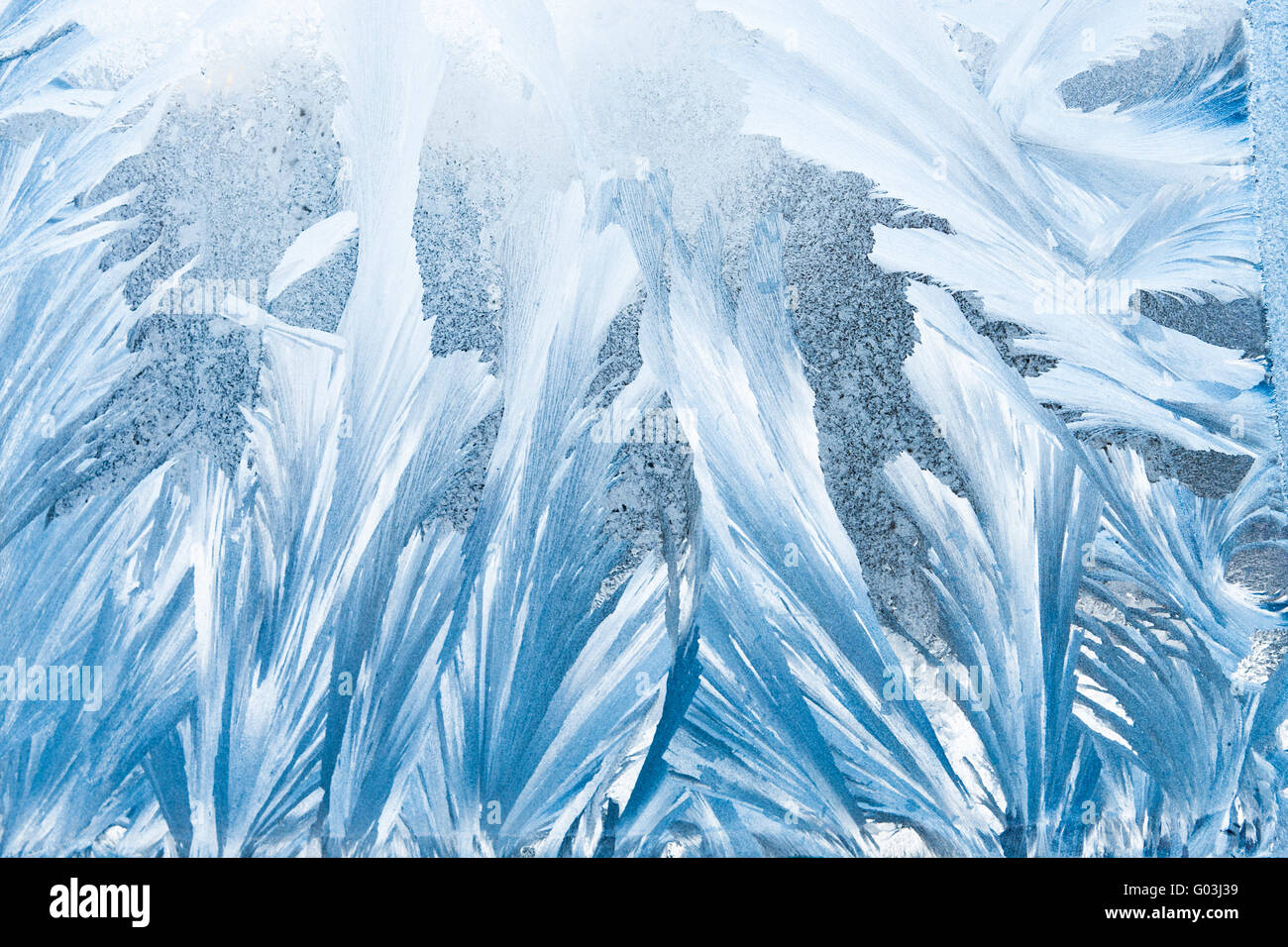 Iceflowers hi-res stock photography and images - Alamy