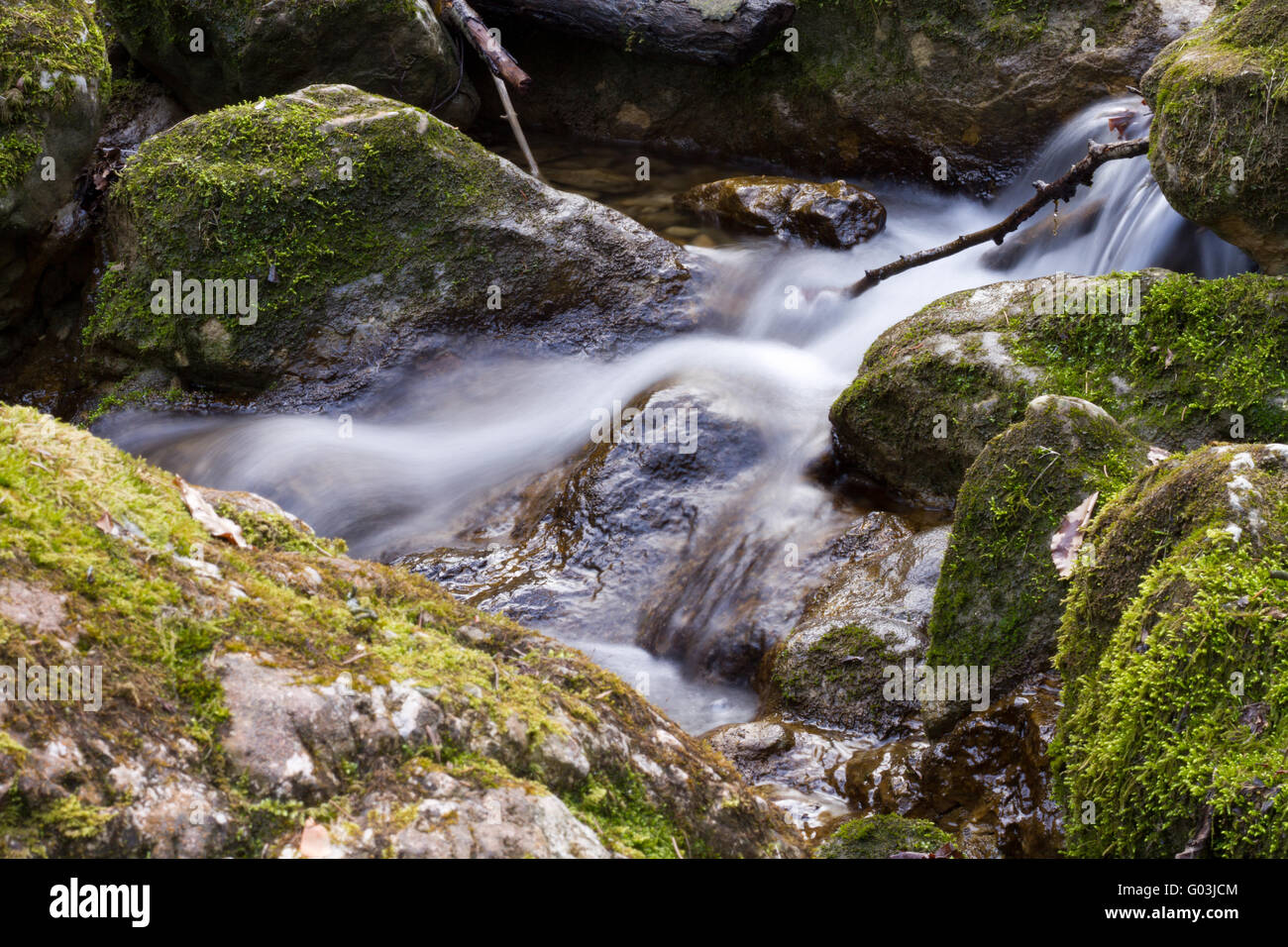 Streambed stones hi-res stock photography and images - Alamy