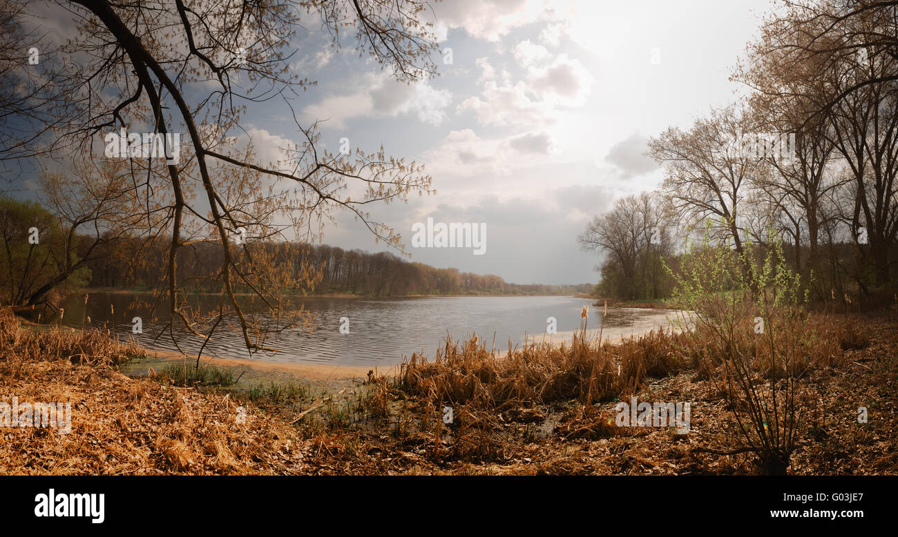 Sunny spring landscape. River in a green forest. Belarus Stock Photo ...