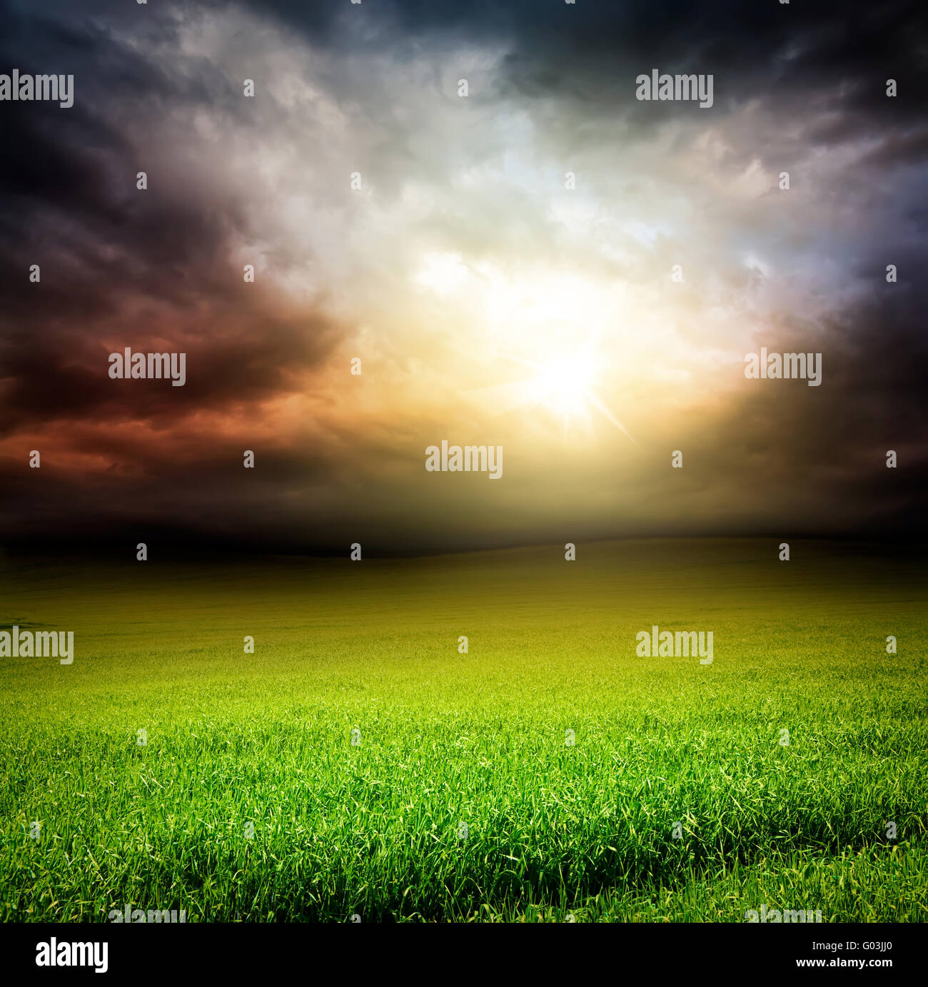 dark sky green field of grass with sun light Stock Photo - Alamy