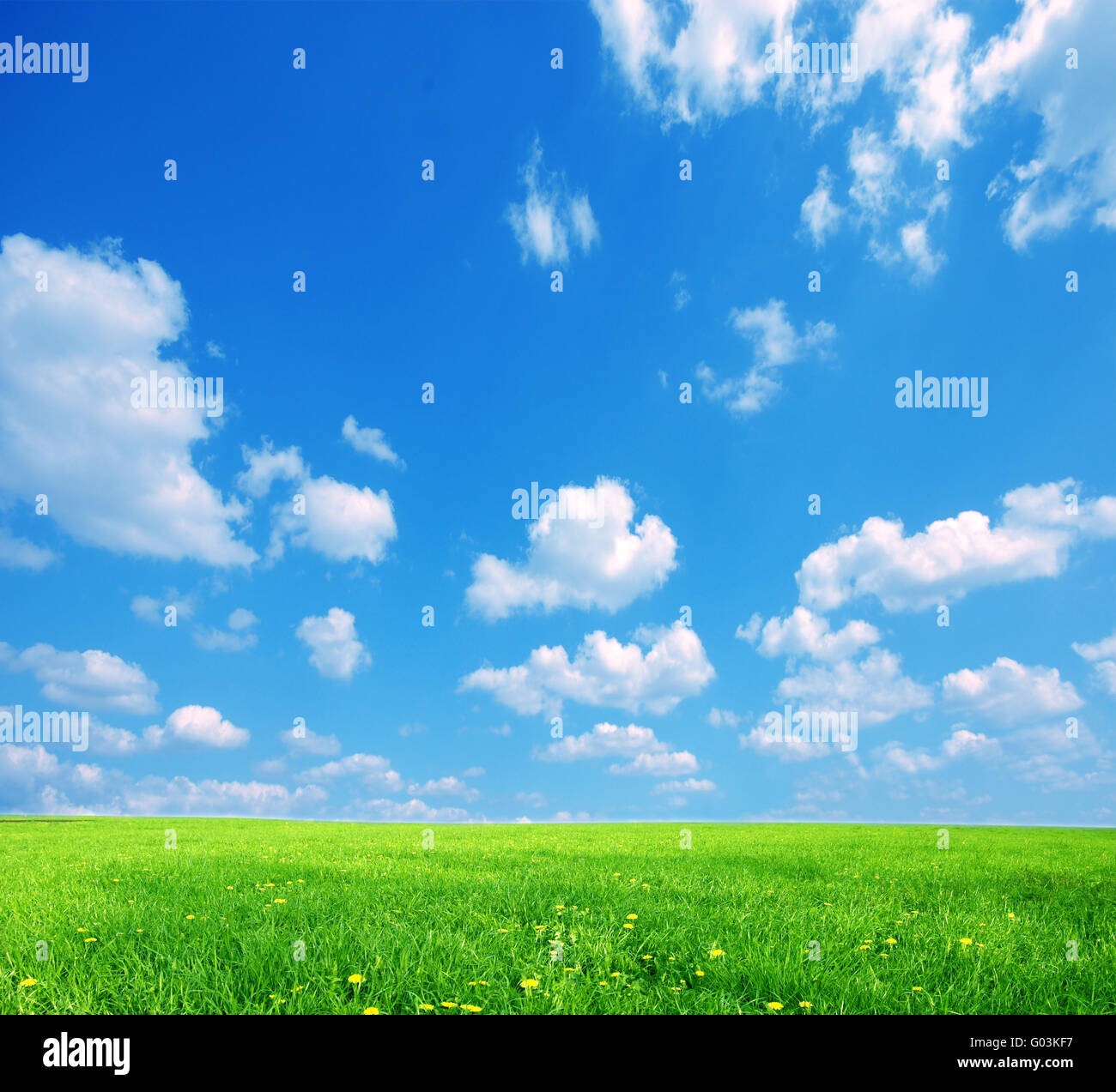Nature background. Clear spring summer landscape with green grass and ...