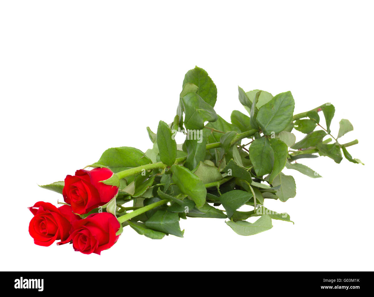 tree red roses Stock Photo - Alamy