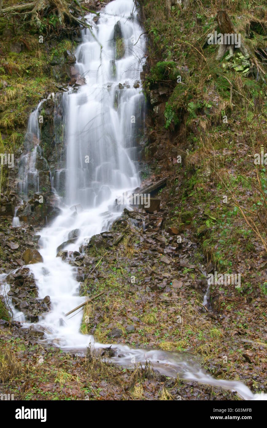 Lotic hi-res stock photography and images - Alamy