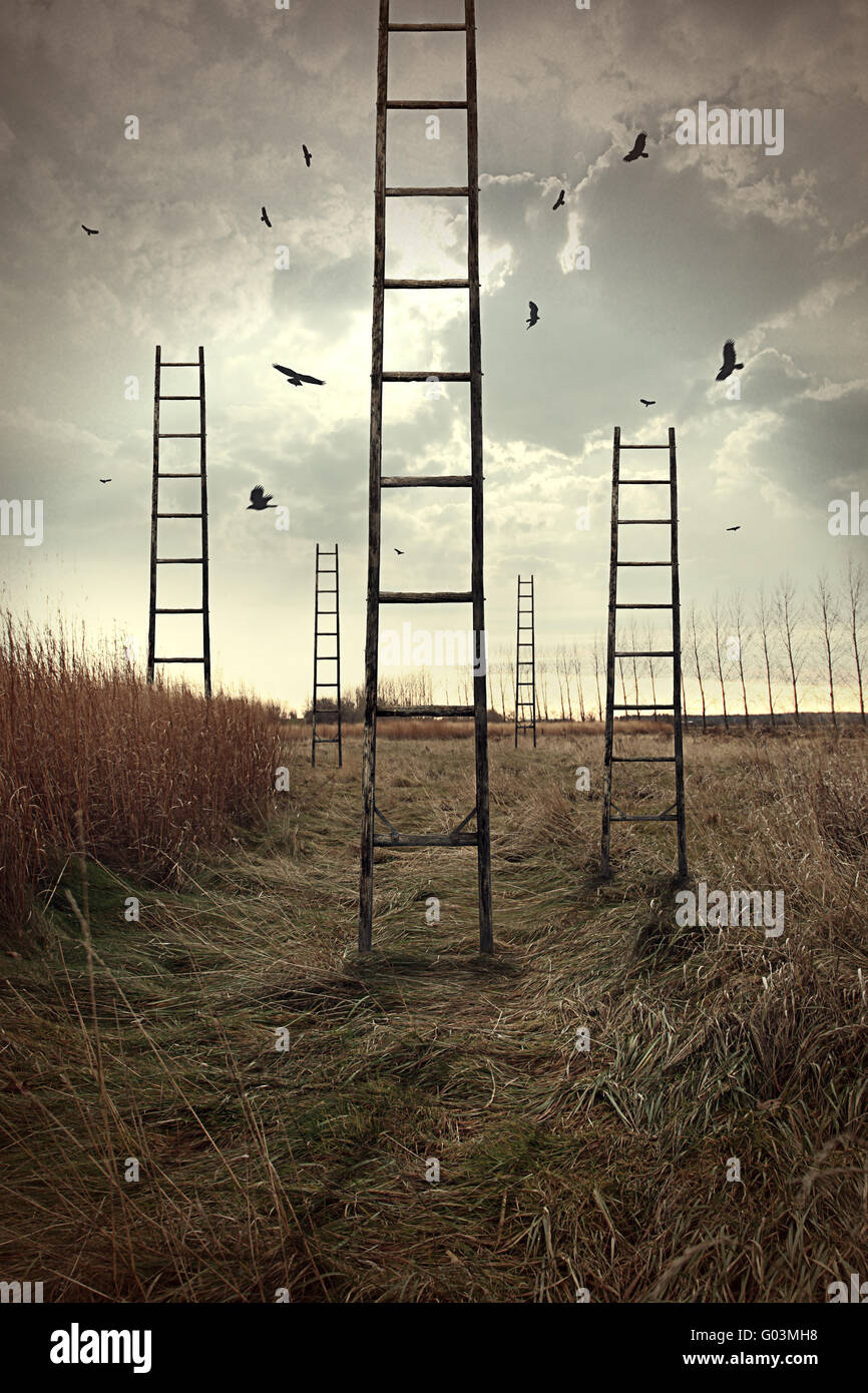 Ladders reaching to the sky in a autumn field Stock Photo - Alamy