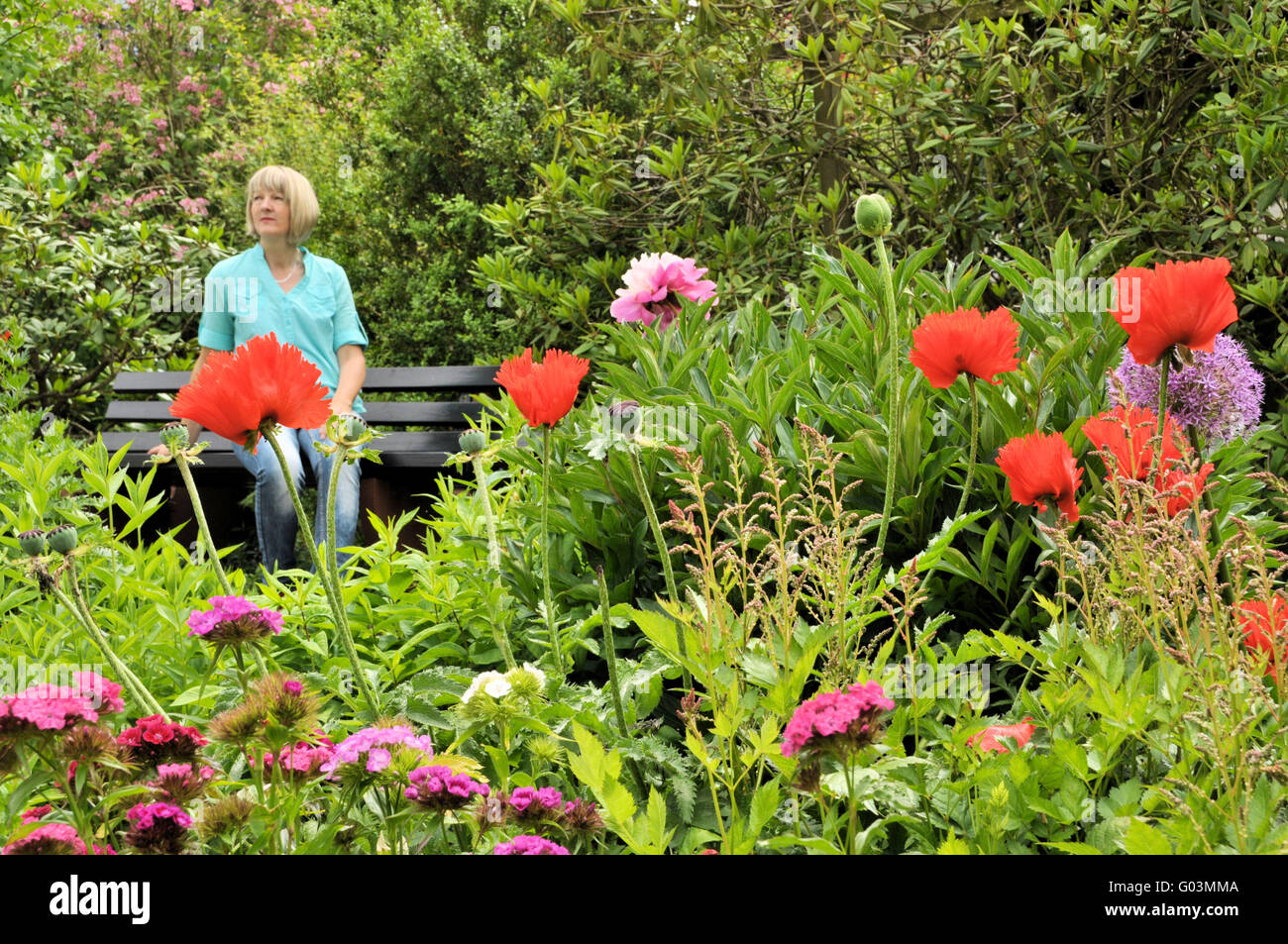Bank Planting High Resolution Stock Photography and Images - Alamy