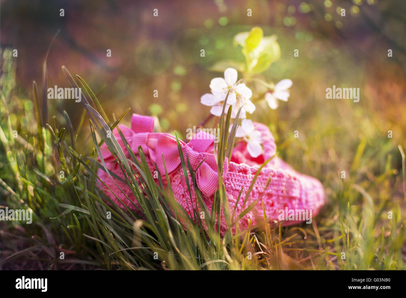 Baby shoe card hi-res stock photography and images - Alamy