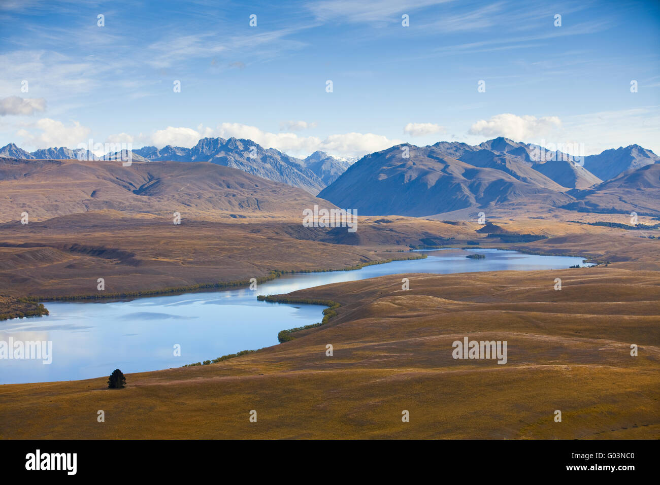 Mackenzie country. Newzealand Stock Photo - Alamy