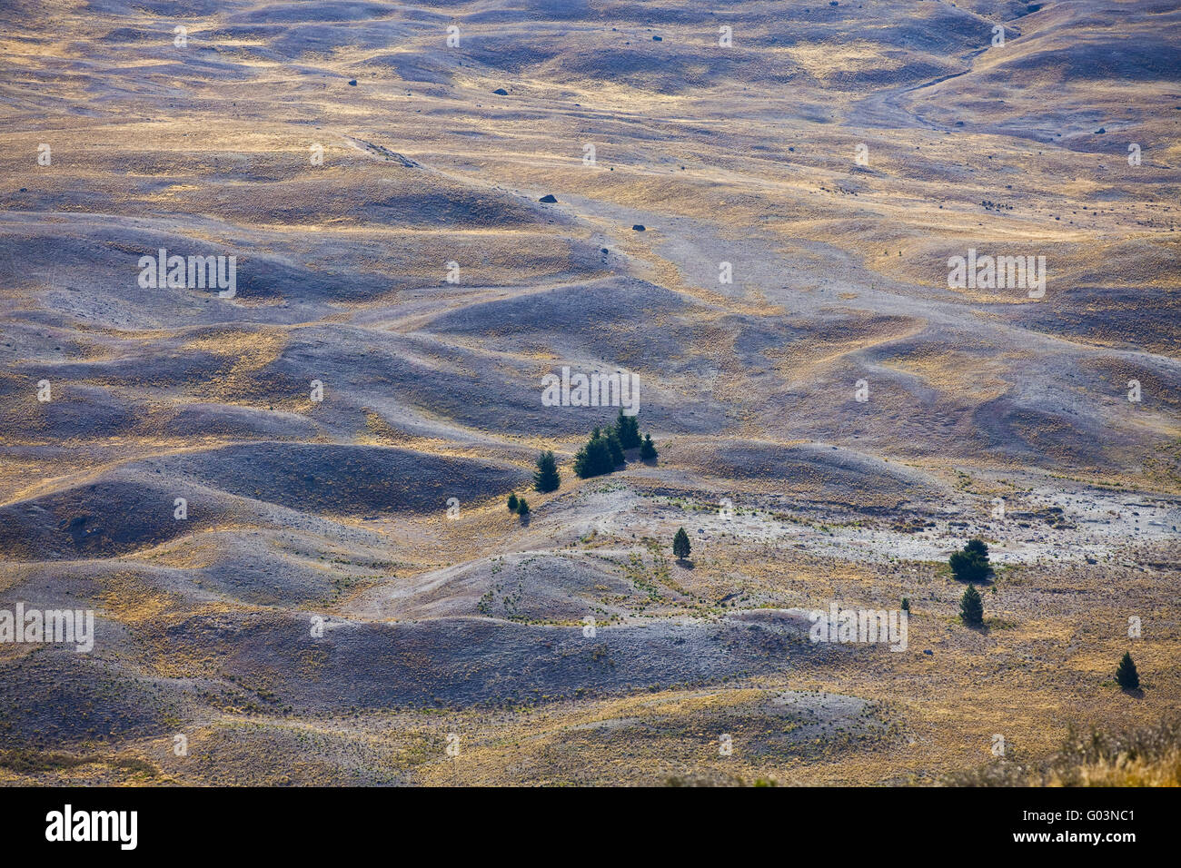 Mackenzie neuseeland hi-res stock photography and images - Alamy