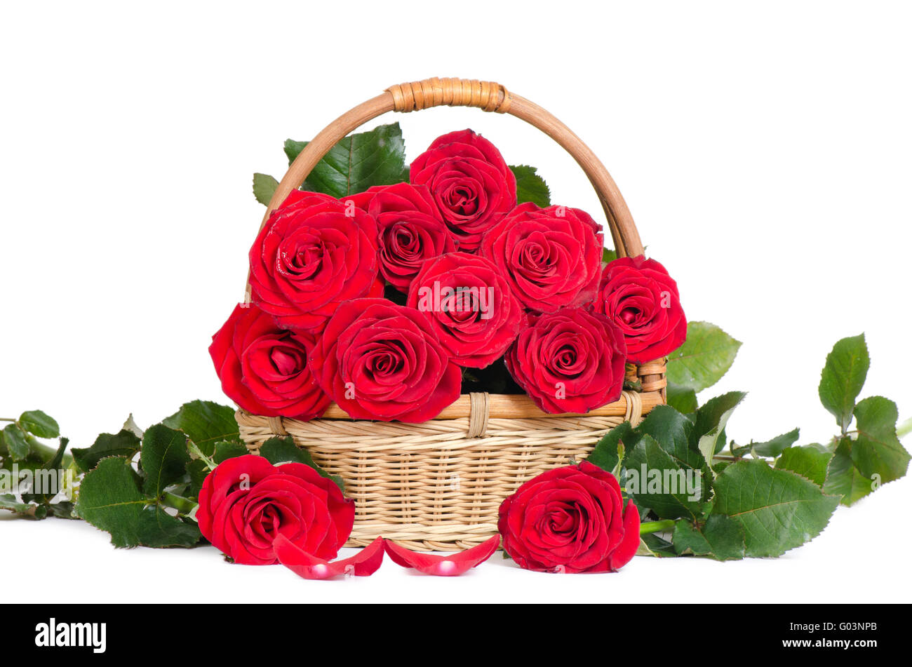Bouquet of red roses isolated on white background Stock Photo - Alamy