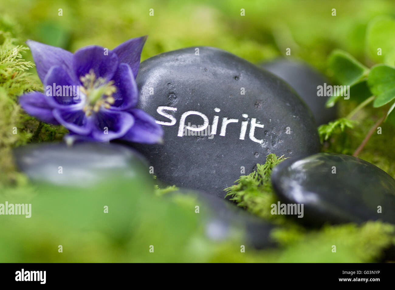 „Spirit“ stone on forest soil with violet flower Stock Photo - Alamy