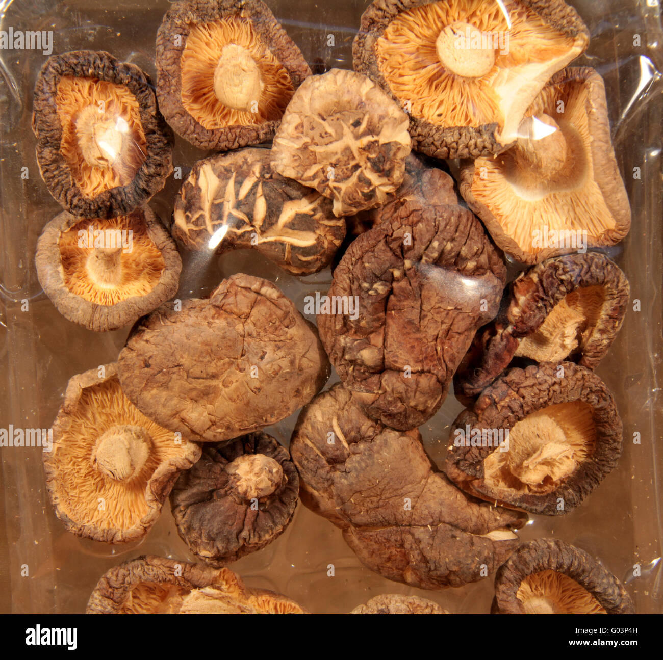 Shitake pilze hi-res stock photography and images - Alamy