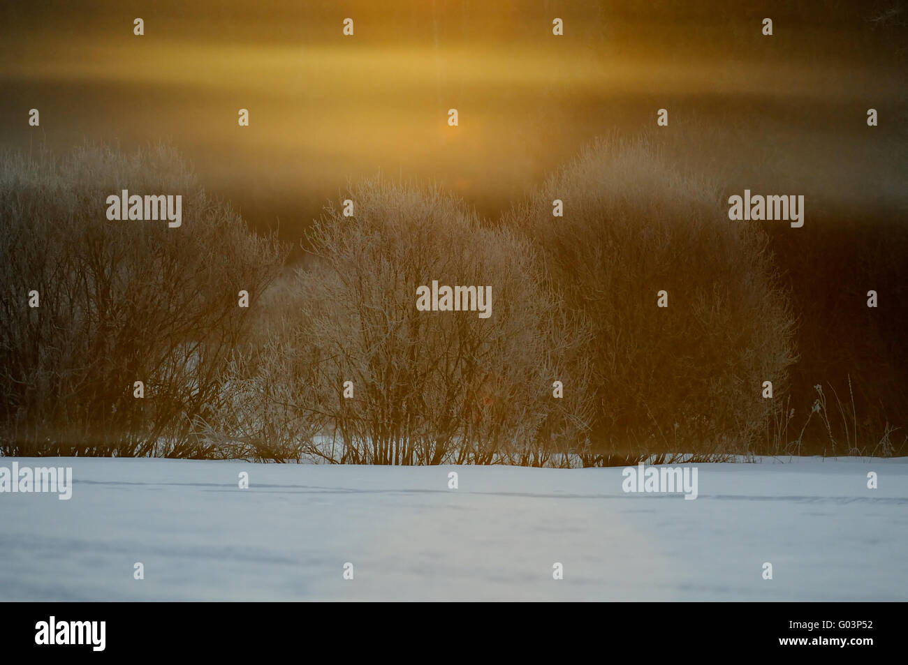 Fog color hi-res stock photography and images - Alamy