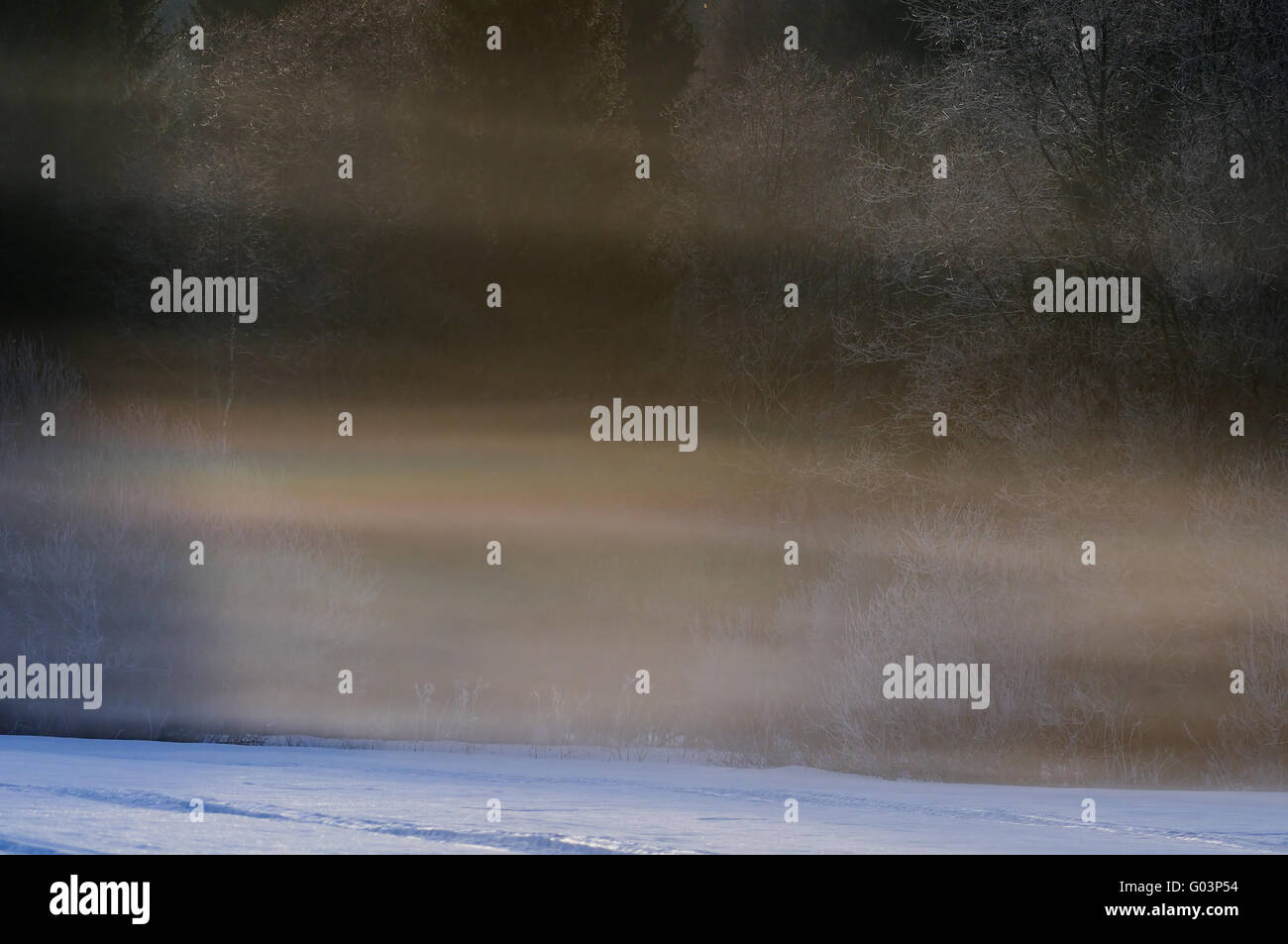 Fog and color hi-res stock photography and images - Alamy