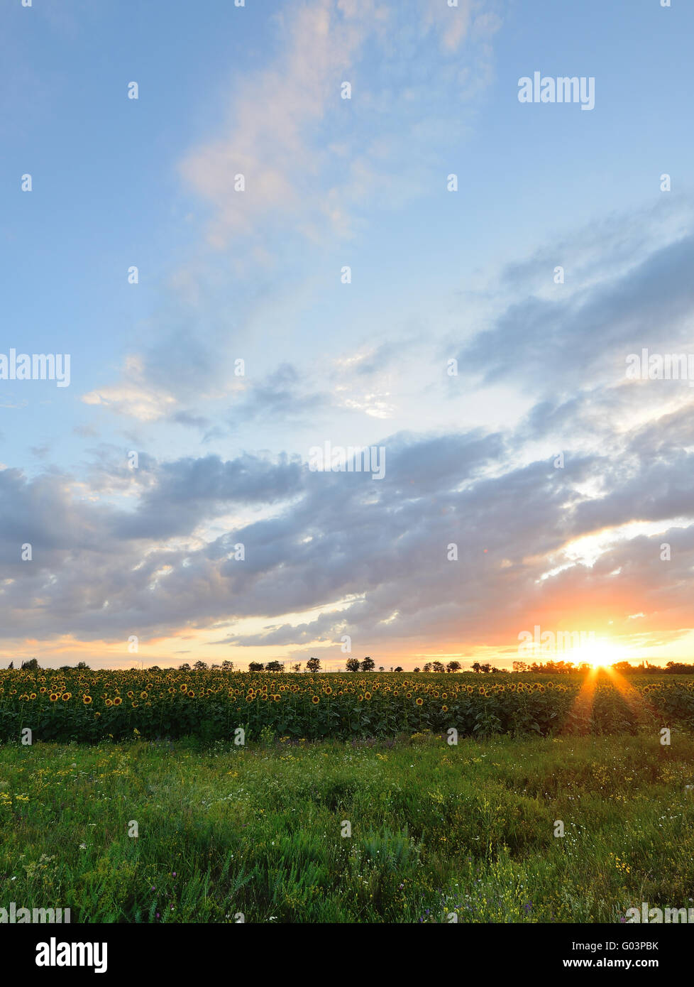 The landscape of the field with a spectacular sky Stock Photo - Alamy