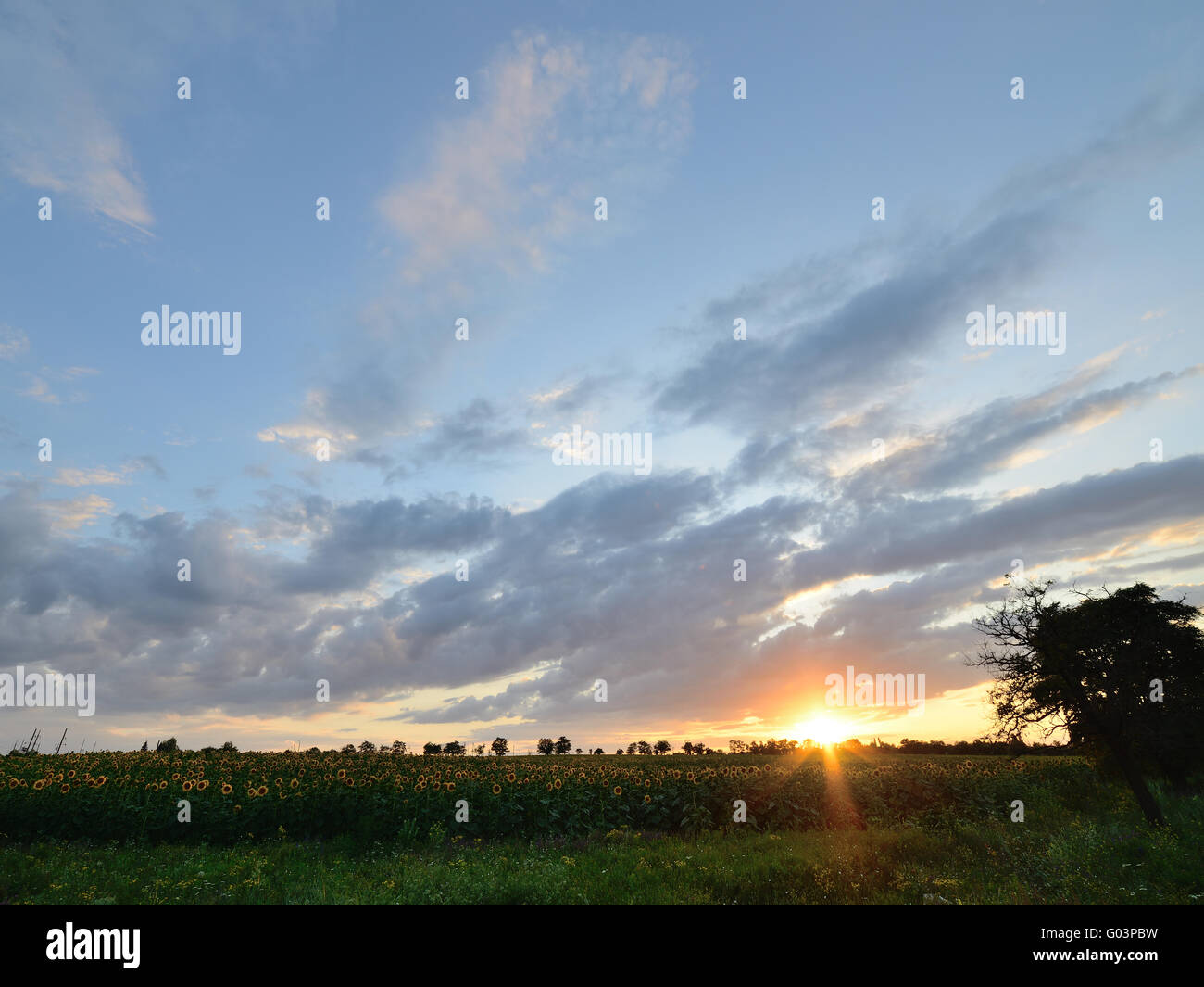 The landscape of the field with a spectacular sky Stock Photo - Alamy