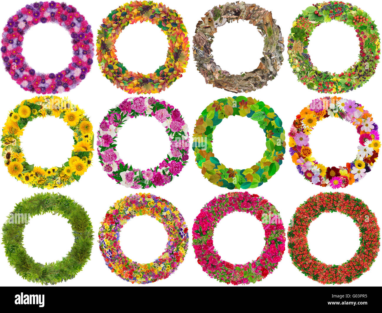 Round simple photo frames from flowers and plants set. Isolated on ...