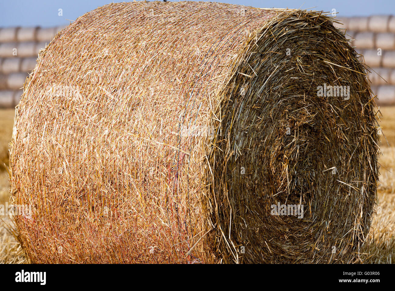 stack of straw in the field Stock Photo - Alamy