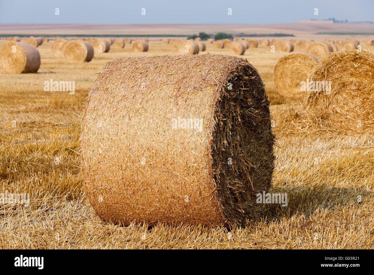 stack of straw in the field Stock Photo - Alamy