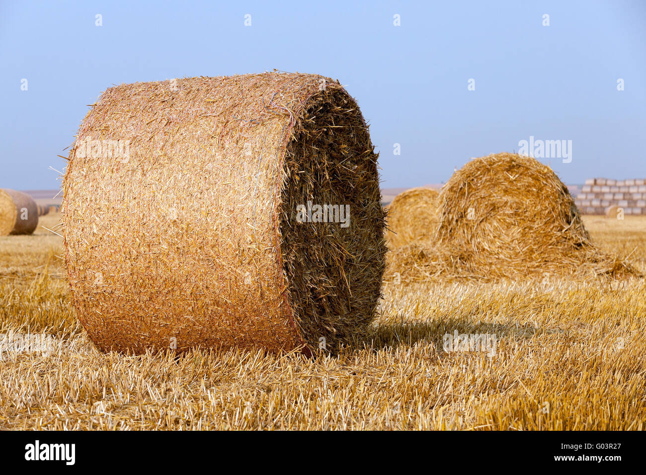 stack of straw in the field Stock Photo - Alamy