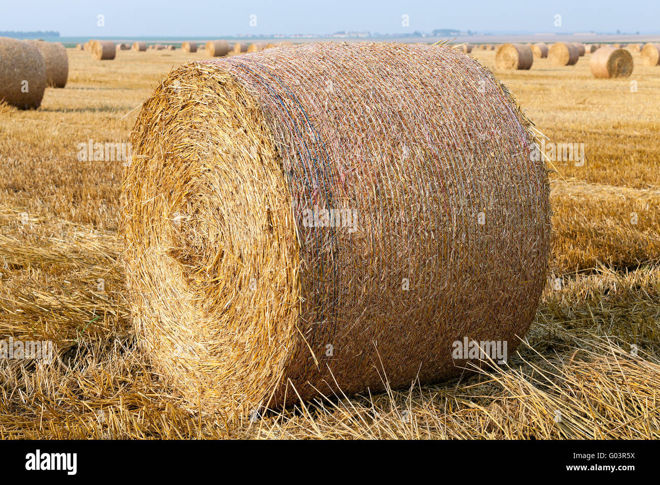 stack of straw in the field Stock Photo - Alamy