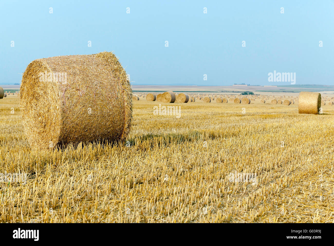 stack of straw in the field Stock Photo - Alamy