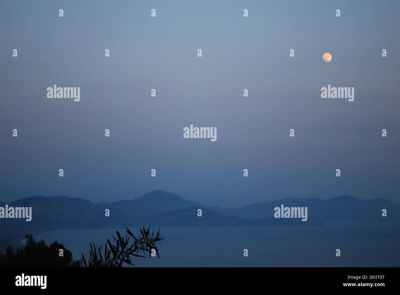 Night Landscape with Moon Stock Photo - Alamy
