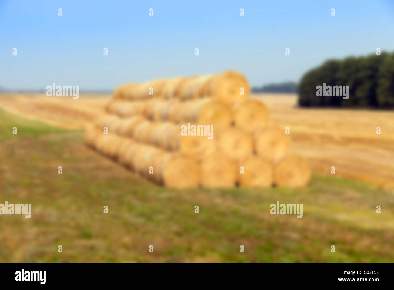 stack of wheat straw Stock Photo - Alamy