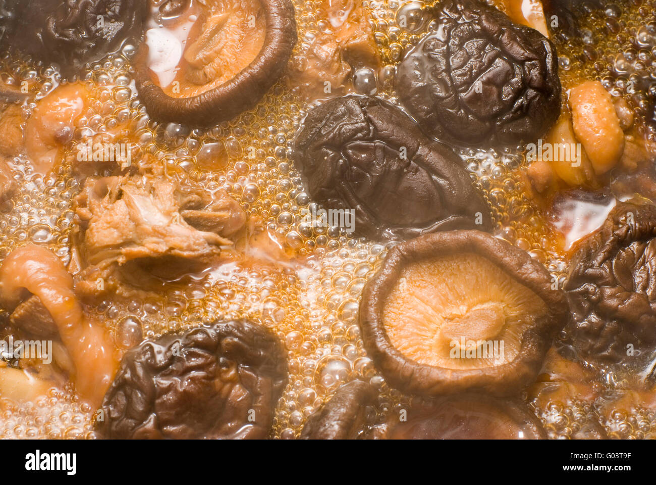 Brown stew fungus hi-res stock photography and images - Alamy