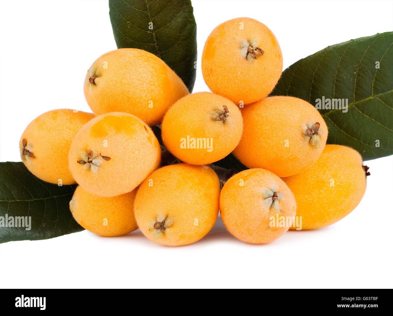 Group of loquat fruits isolated on white background Stock Photo - Alamy