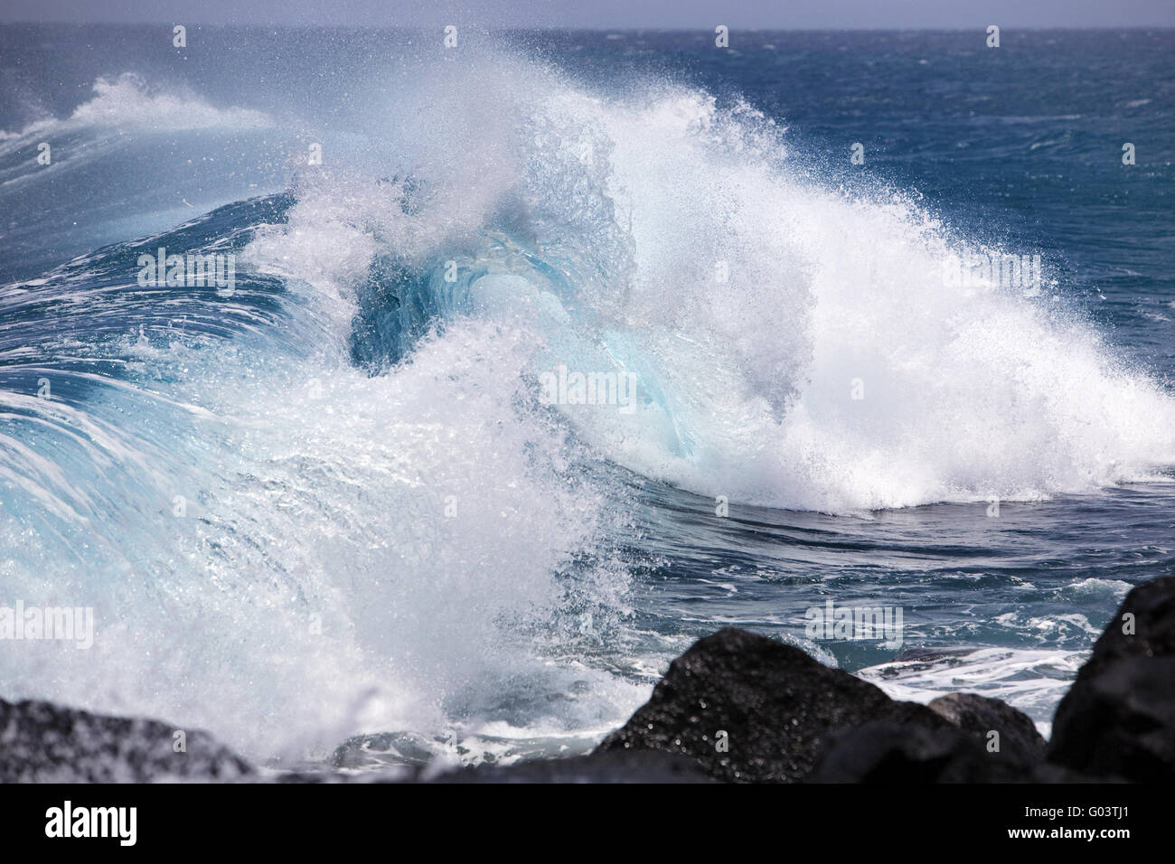 Natural capture hi-res stock photography and images - Alamy