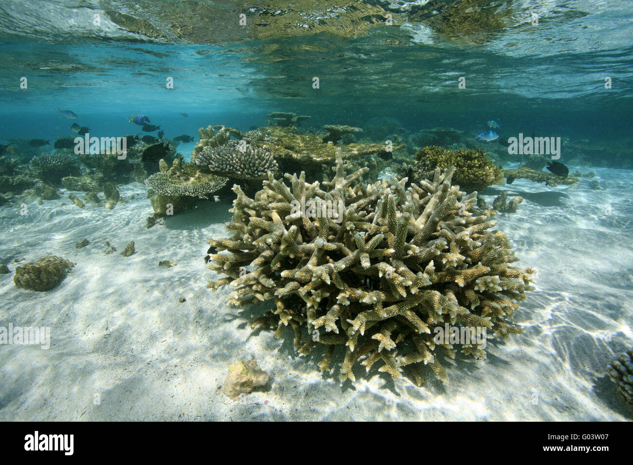 Wasser lagune hi-res stock photography and images - Alamy