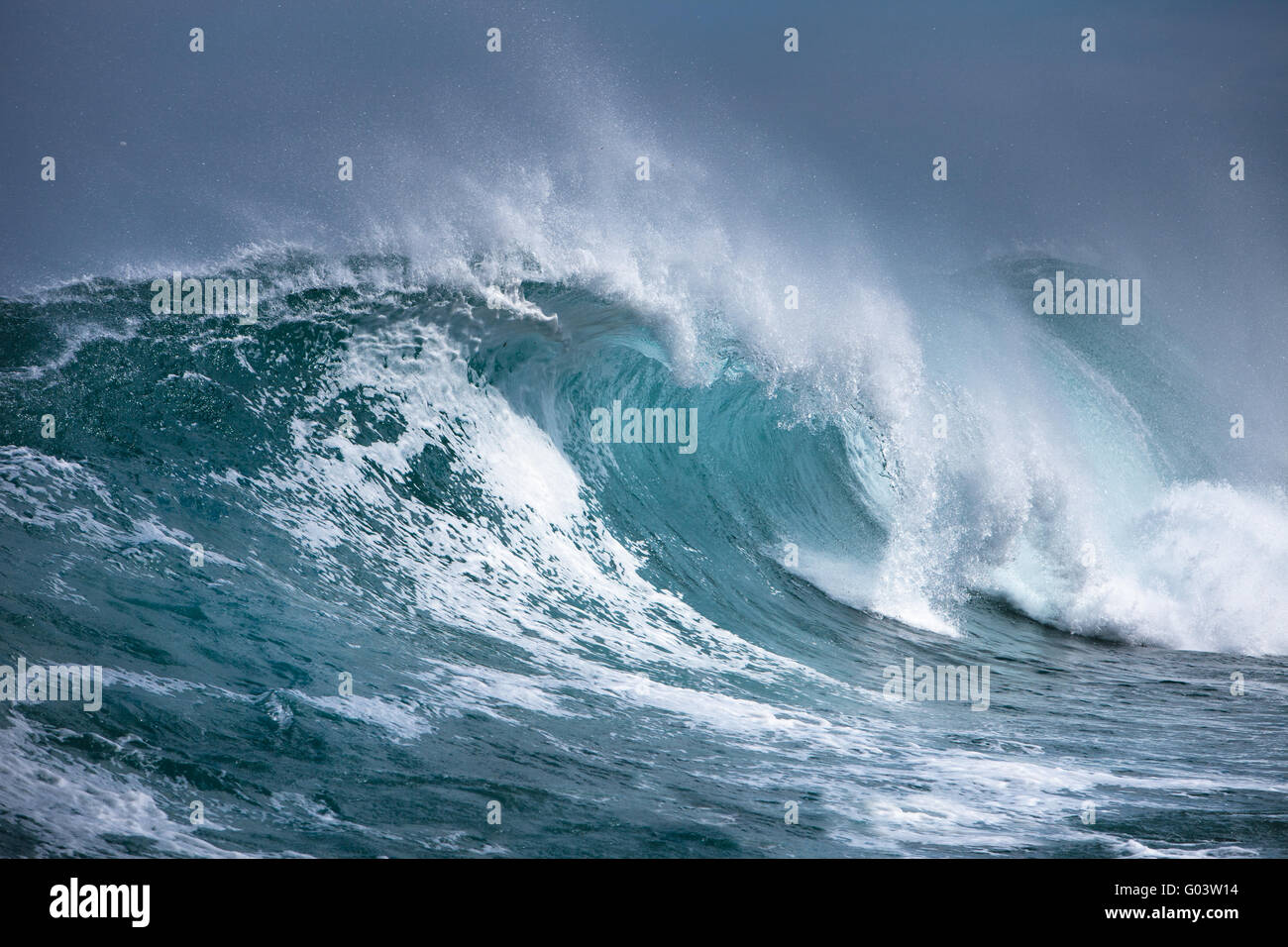 Cool nature photo hi-res stock photography and images - Alamy